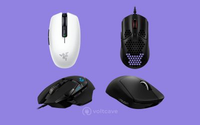 The 6 Best Mice for Fingertip Grips in 2022 – Voltcave